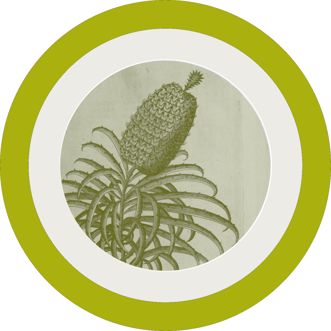 One Fruit - the memory palace