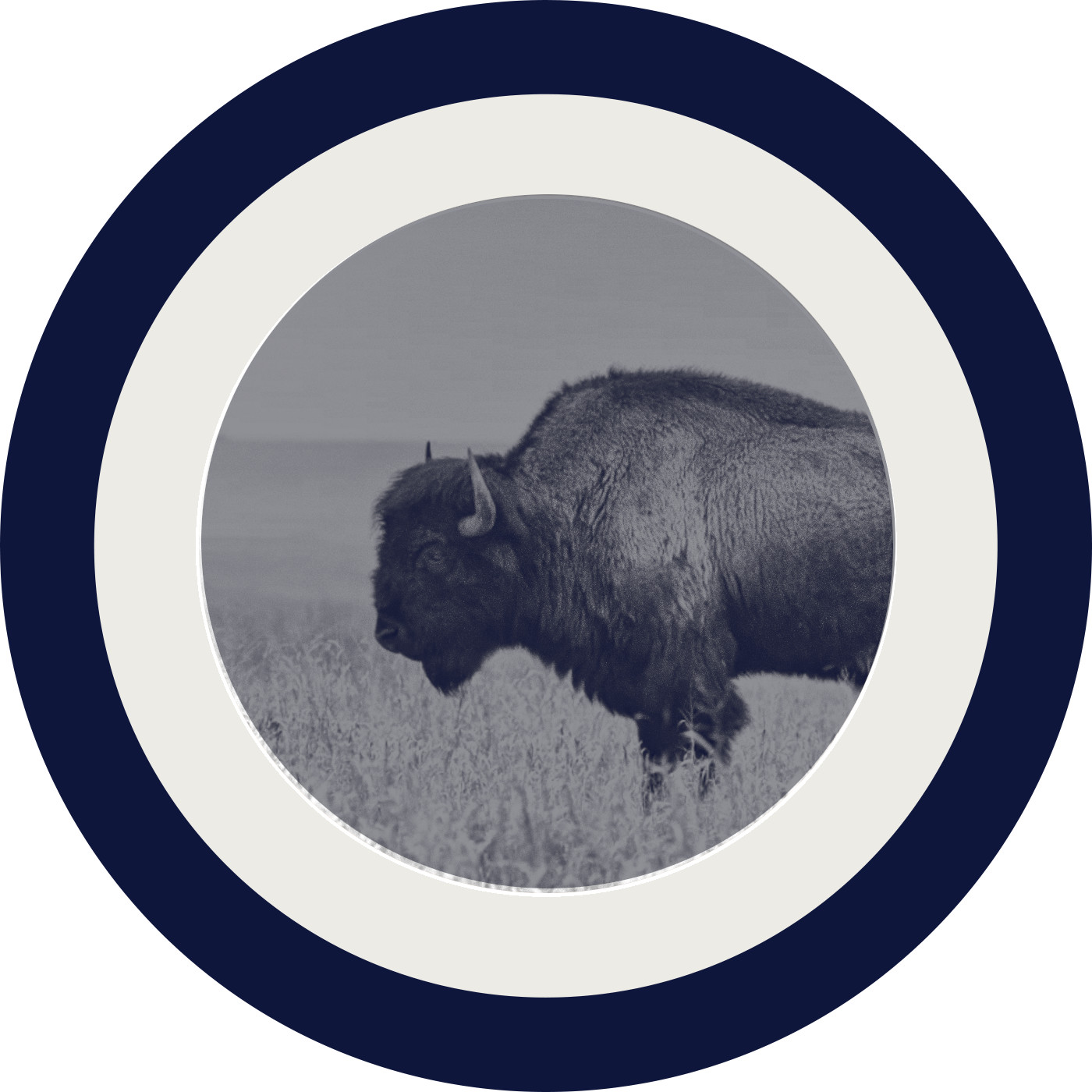 The Thundering Herd, The Vanishing American - the memory palace